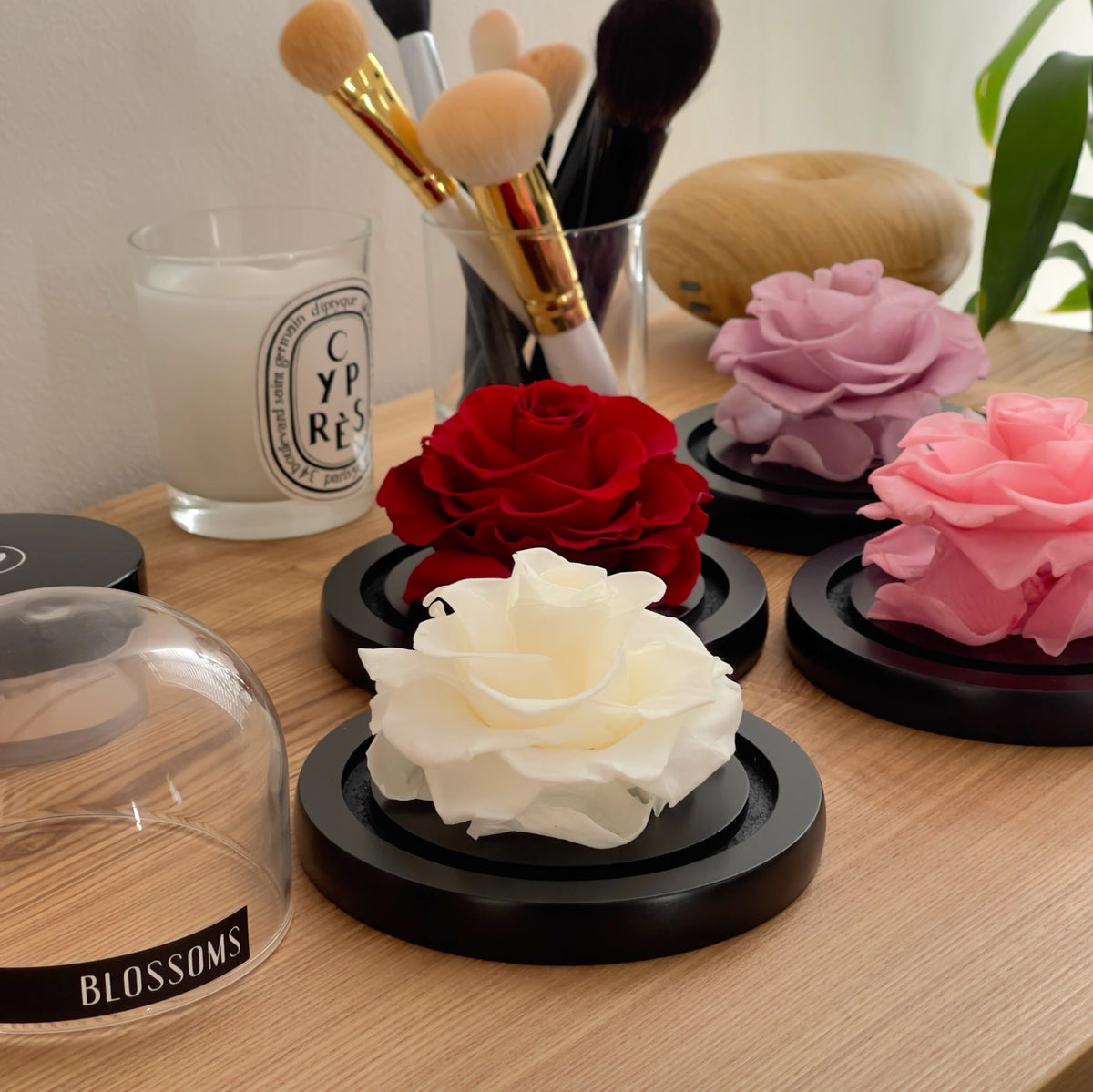 Vanity Rose – BLOSSOMS